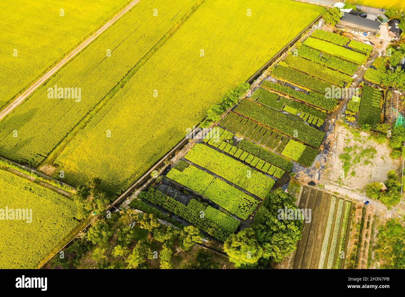 Aerial view of farm Stock Photo - Alamy