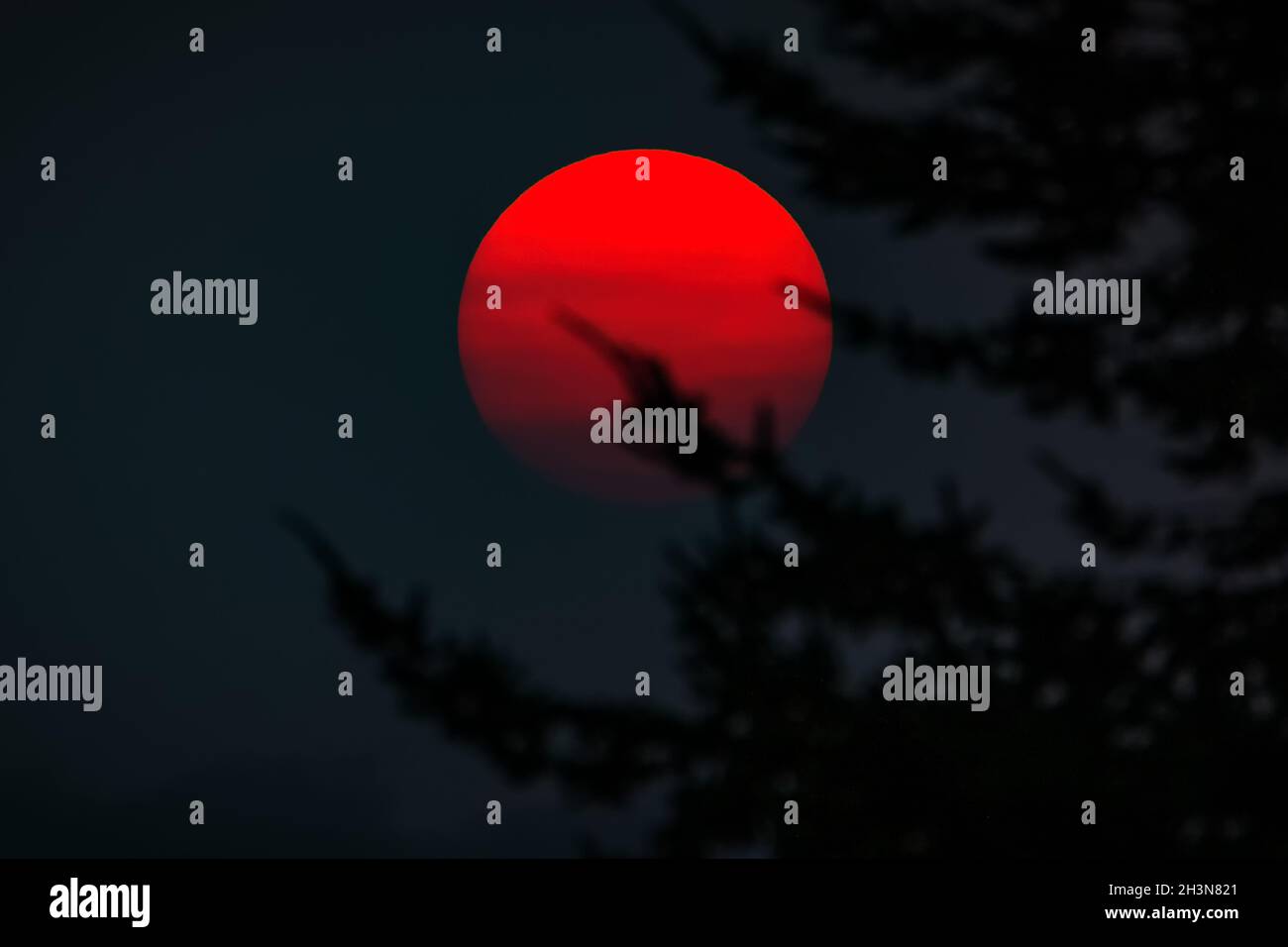 Sunset through Wildfire Smoke, Northern California, USA Stock Photo - Alamy