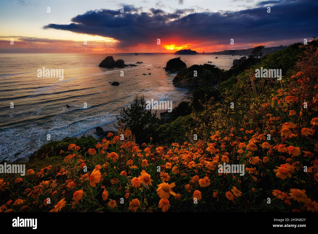 Seascape Sunset in Northern California Stock Photo - Alamy