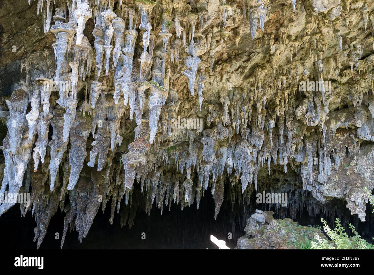 Rawhiti Cave - Abel Tasman National Park, New Zealand Stock Photo - Alamy
