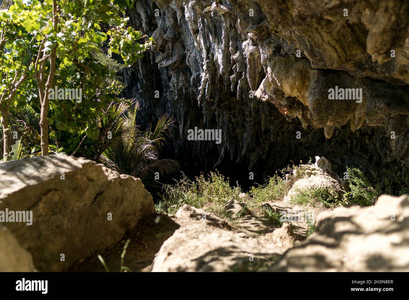 Rawhiti Cave - Abel Tasman National Park, New Zealand Stock Photo - Alamy