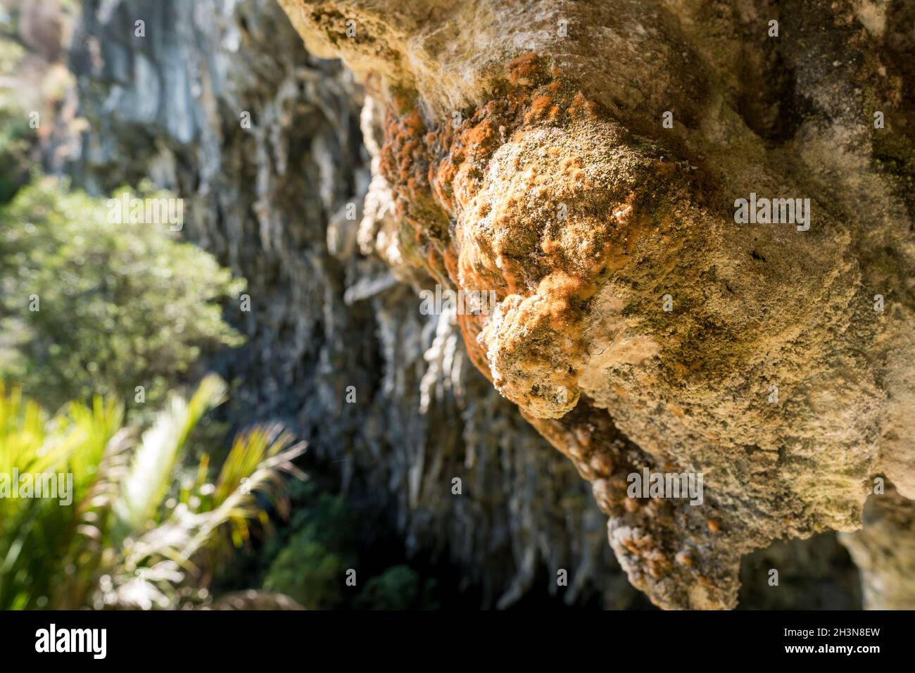 Rawhiti Cave - Abel Tasman National Park, New Zealand Stock Photo - Alamy