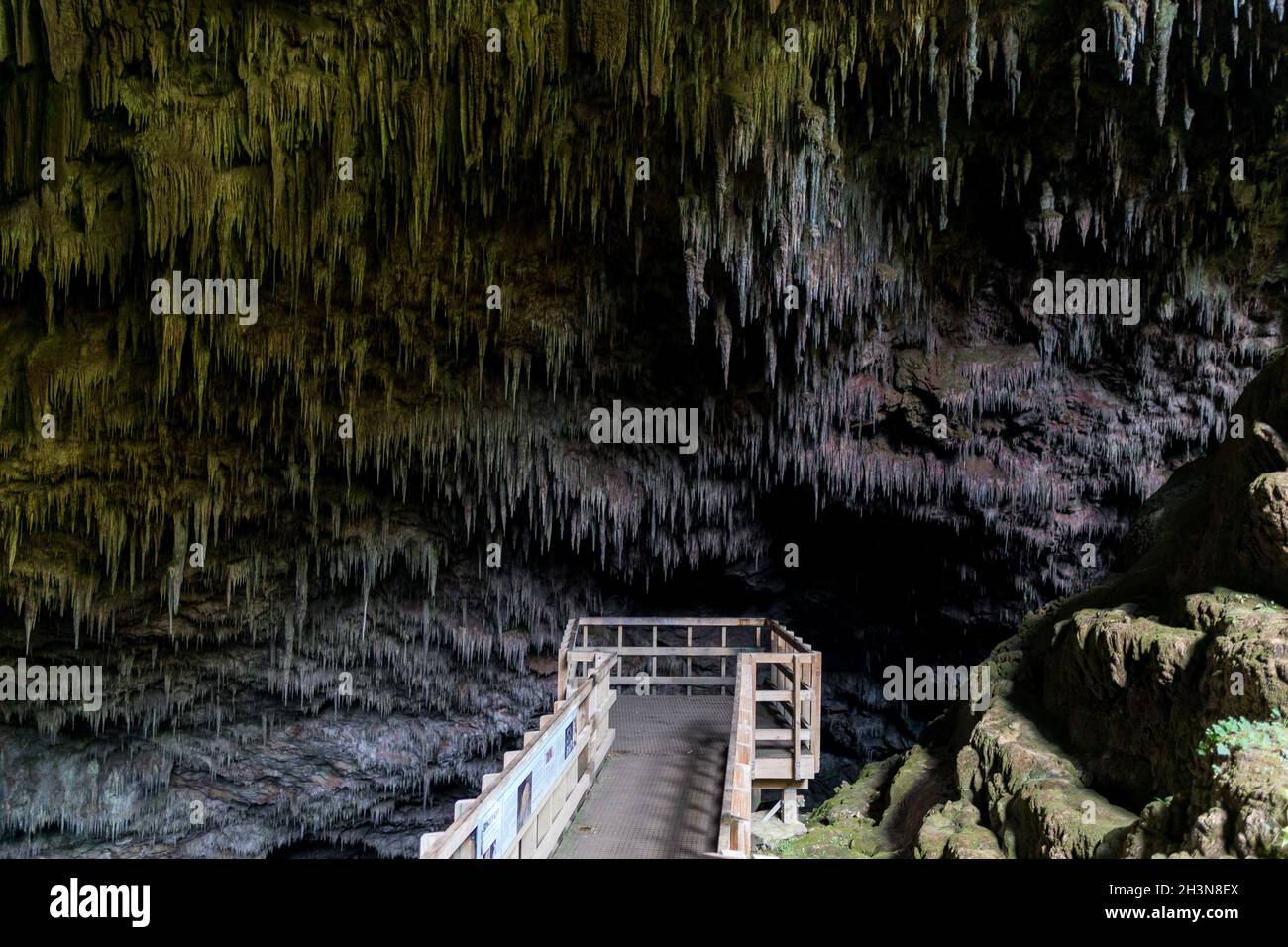 Rawhiti Cave - Abel Tasman National Park, New Zealand Stock Photo - Alamy