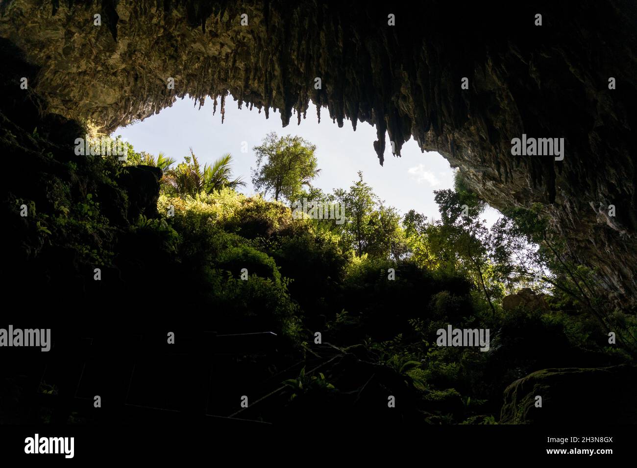 Rawhiti Cave - Abel Tasman National Park, New Zealand Stock Photo - Alamy