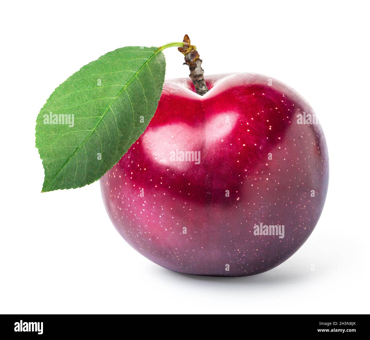 One whole plum hi-res stock photography and images - Alamy
