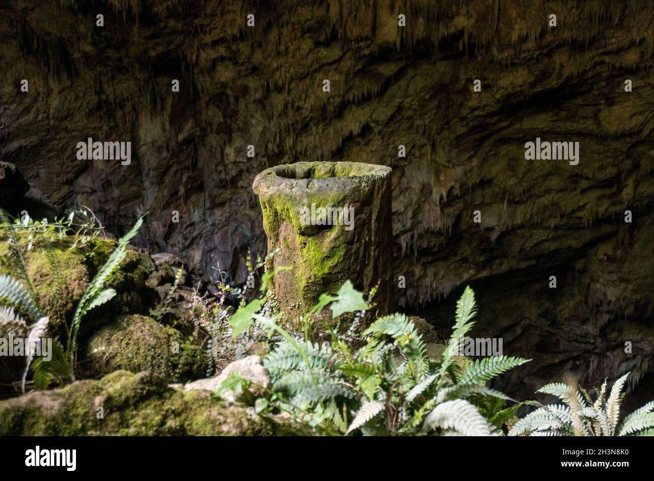 Rawhiti Cave - Abel Tasman National Park, New Zealand Stock Photo - Alamy