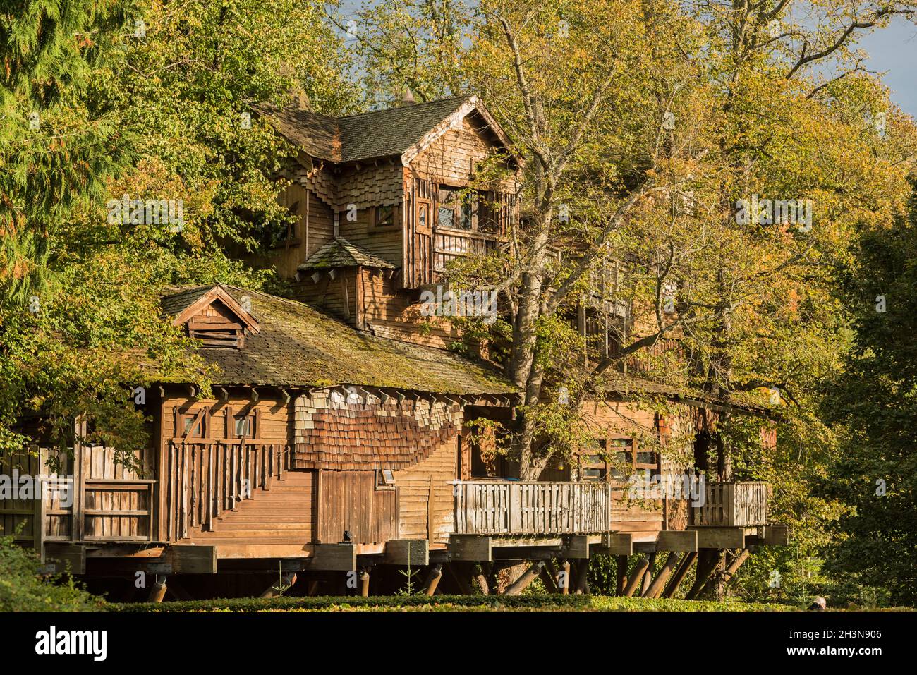 Alnwick tree house situated in the popular gardens of Alnwick castle ...