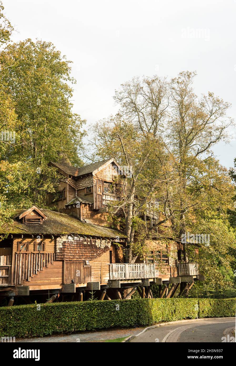 Alnwick tree house situated in the popular gardens of Alnwick castle ...