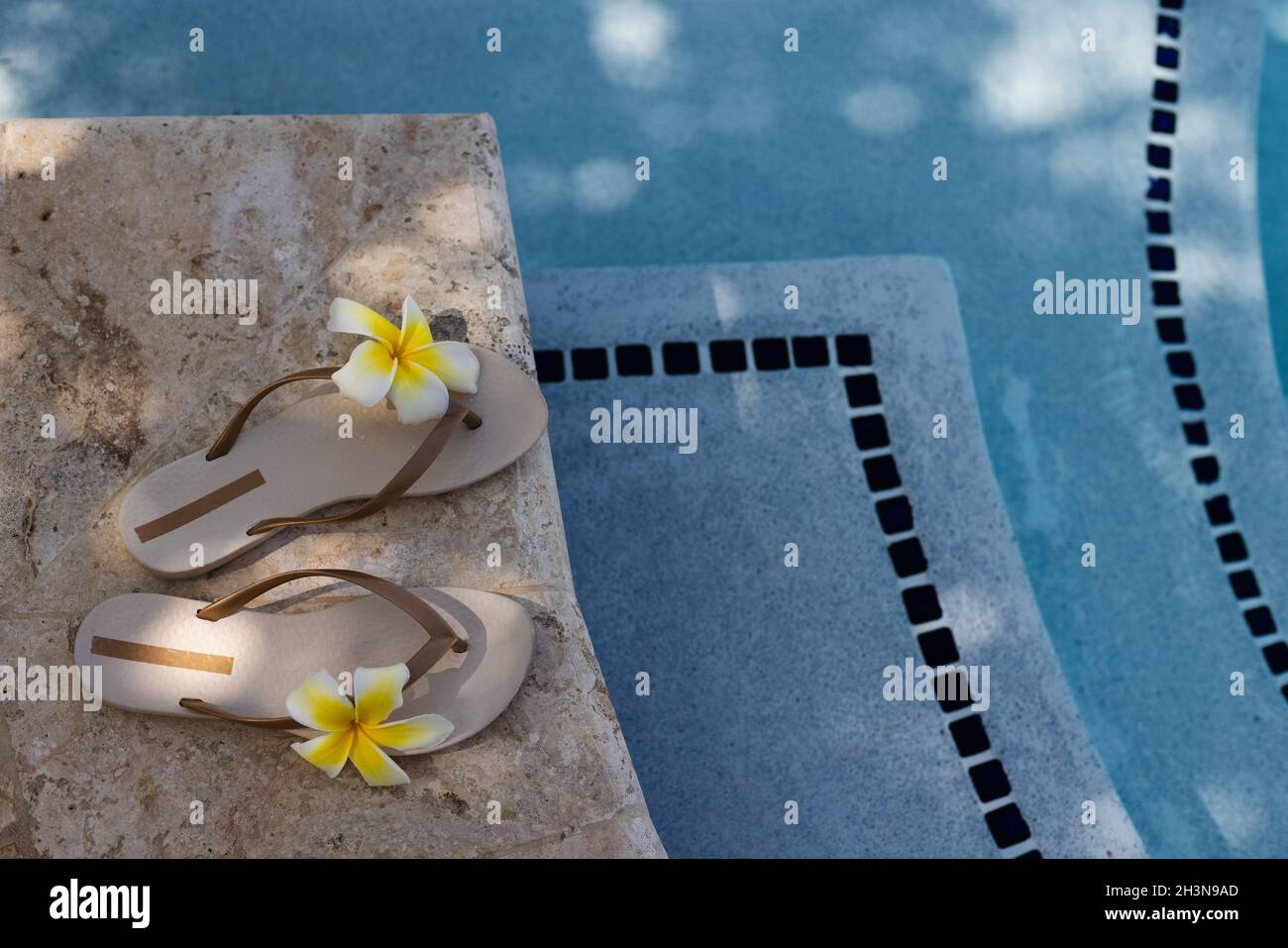 Pair of slippers with frangipani flowers near swimming pool Stock Photo ...