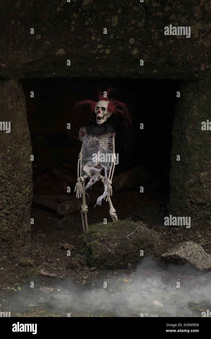 Scary Halloween skeleton with red hair Stock Photo - Alamy