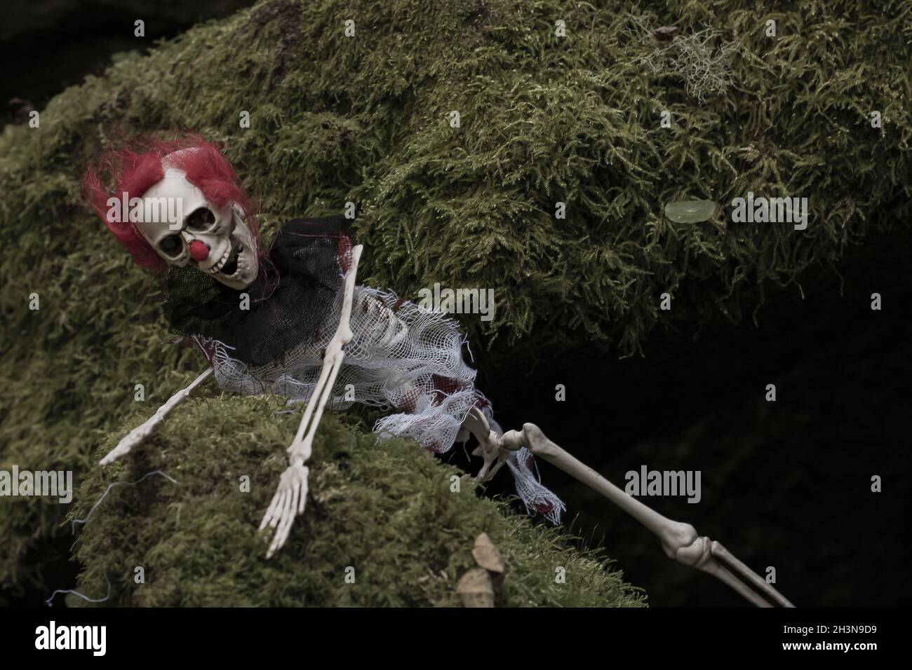 Scary Halloween skeleton with red hair Stock Photo - Alamy