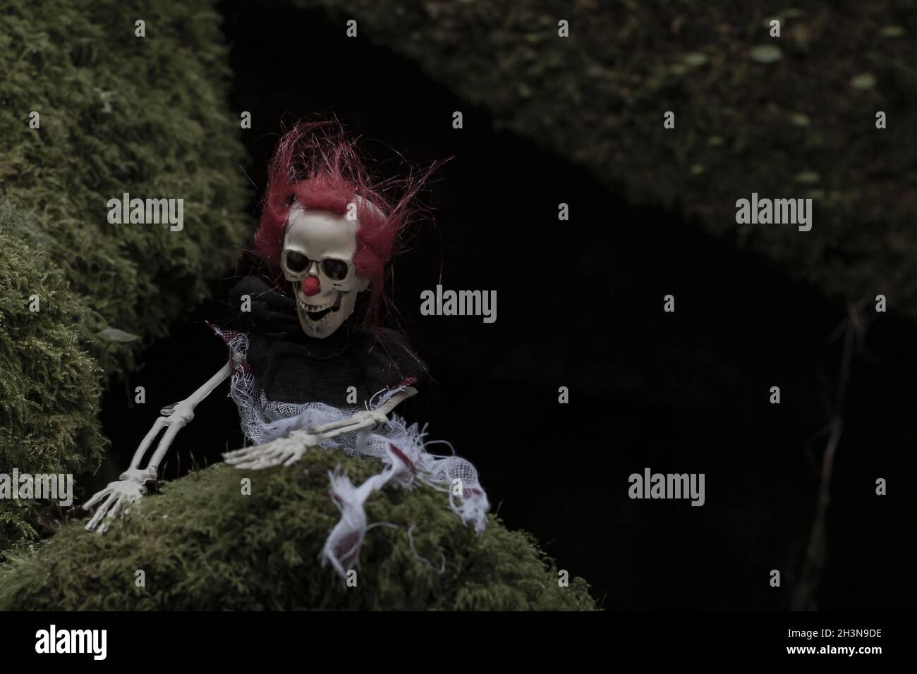 Scary Halloween skeleton with red hair Stock Photo - Alamy