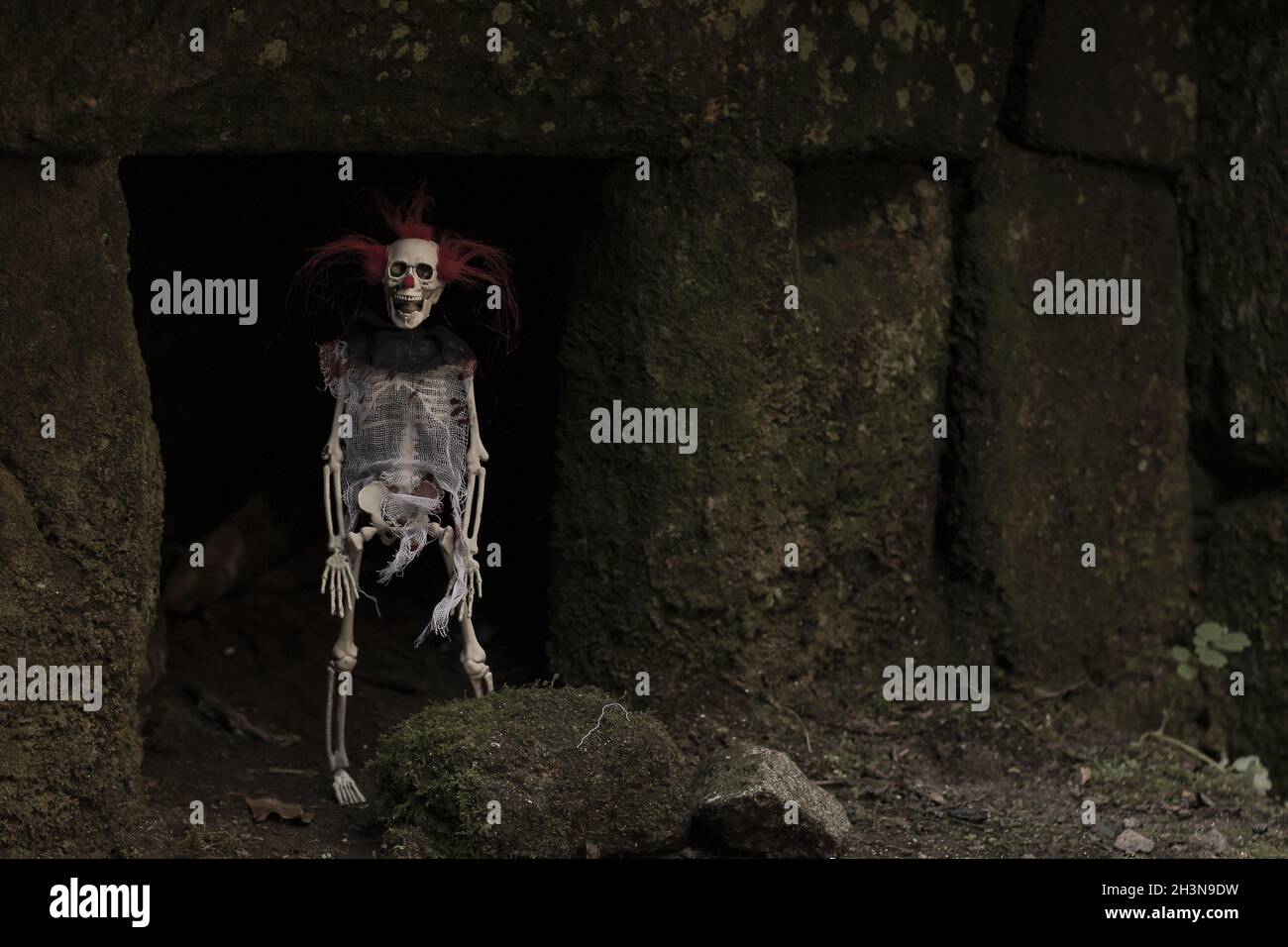 Scary Halloween skeleton with red hair Stock Photo - Alamy