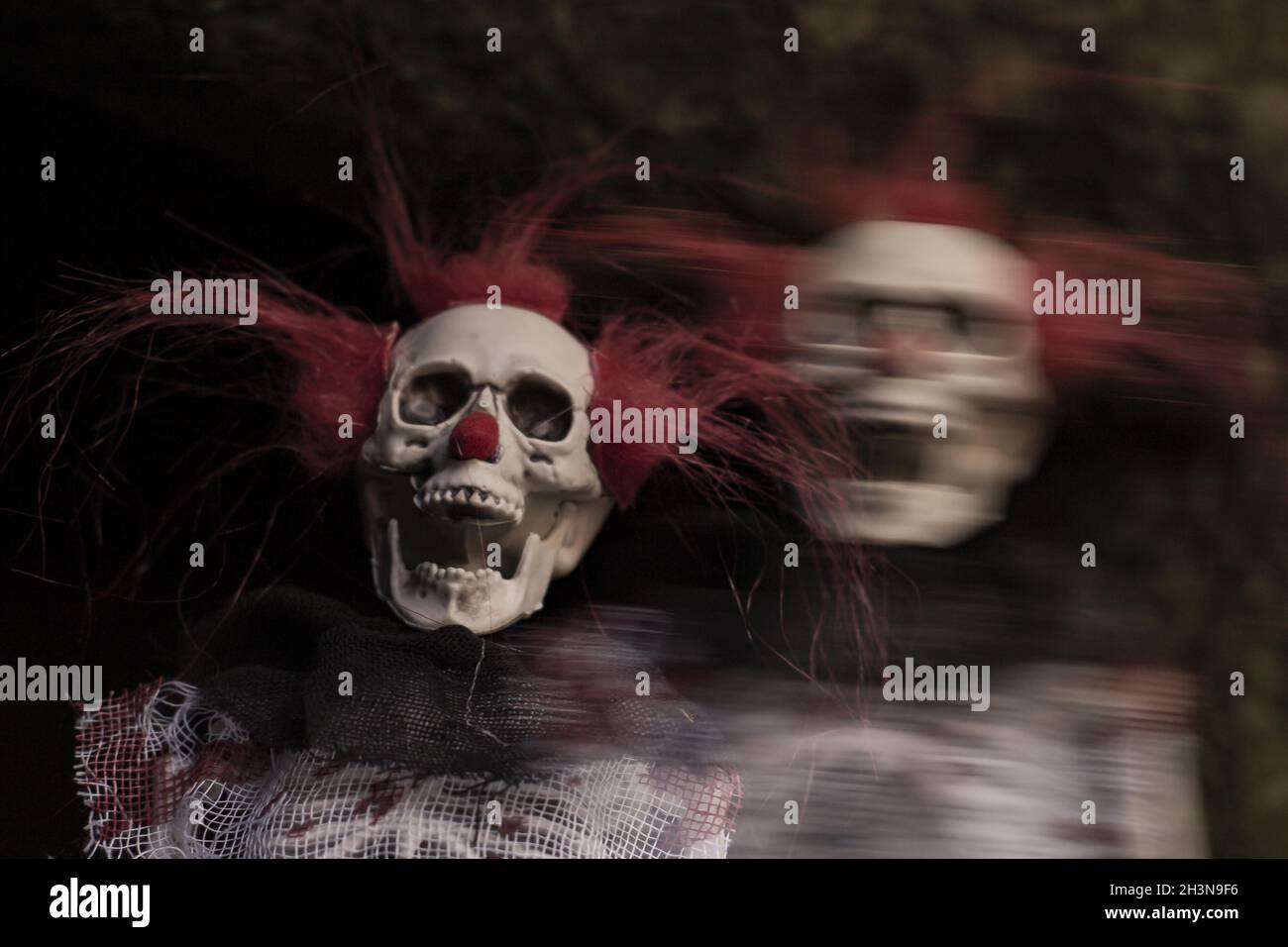 Scary Halloween skeleton with red hair Stock Photo - Alamy