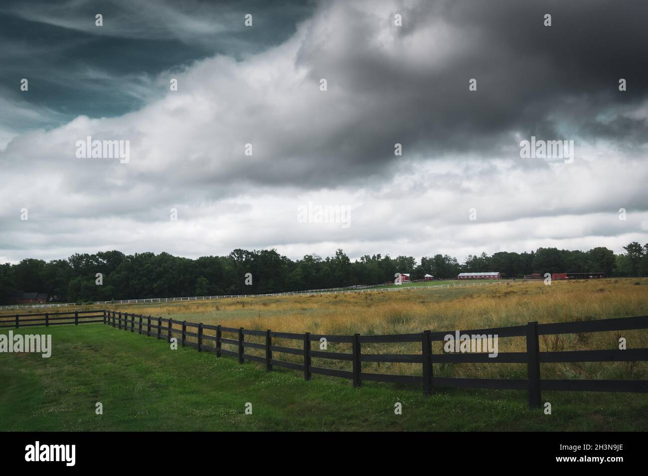 Field with a fenced area and background with dense forest against a ...