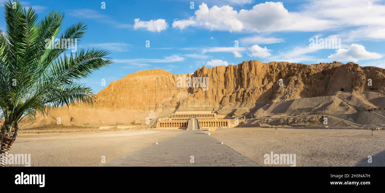 Palm and temple Stock Photo - Alamy