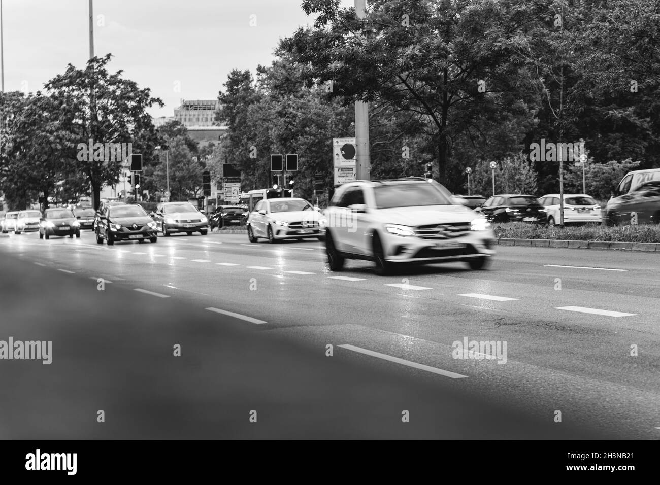 Grayscale shot of cars on the highway with trees under a clear sky ...