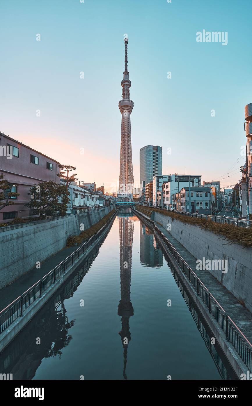 Vertical shot of the beautiful Sumida Park in Taito, Japan Stock Photo ...