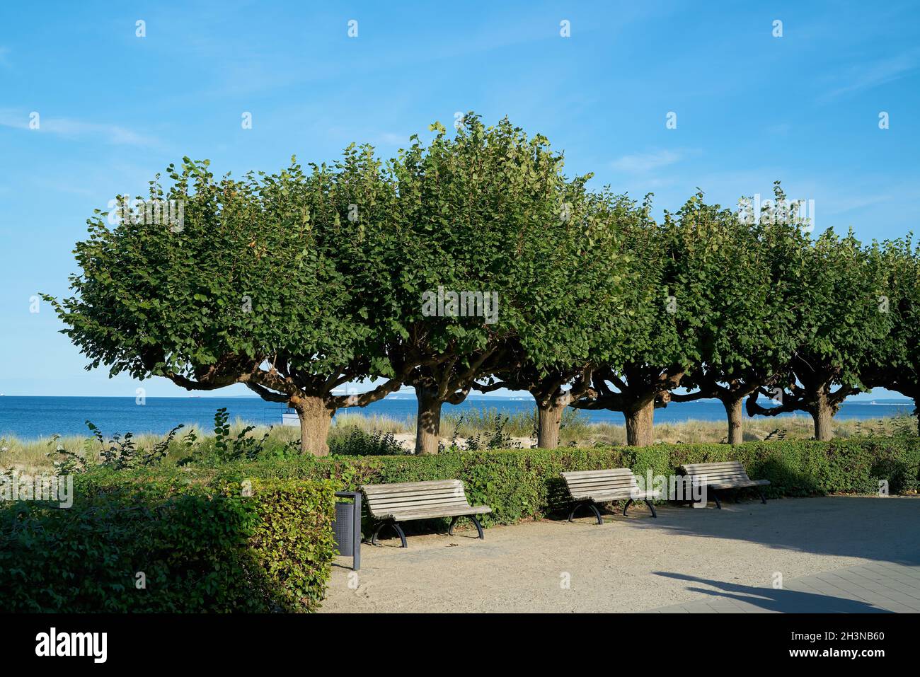 Beach promenade with park benches in the German Baltic seaside resort ...