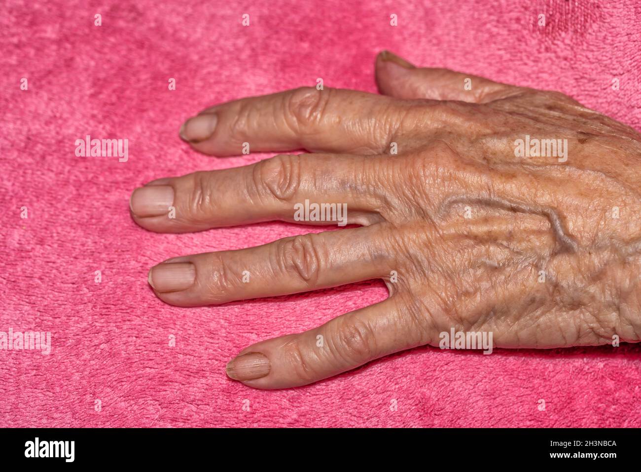 Detail of the hand of a 90 year old lady isolated on pink background ...