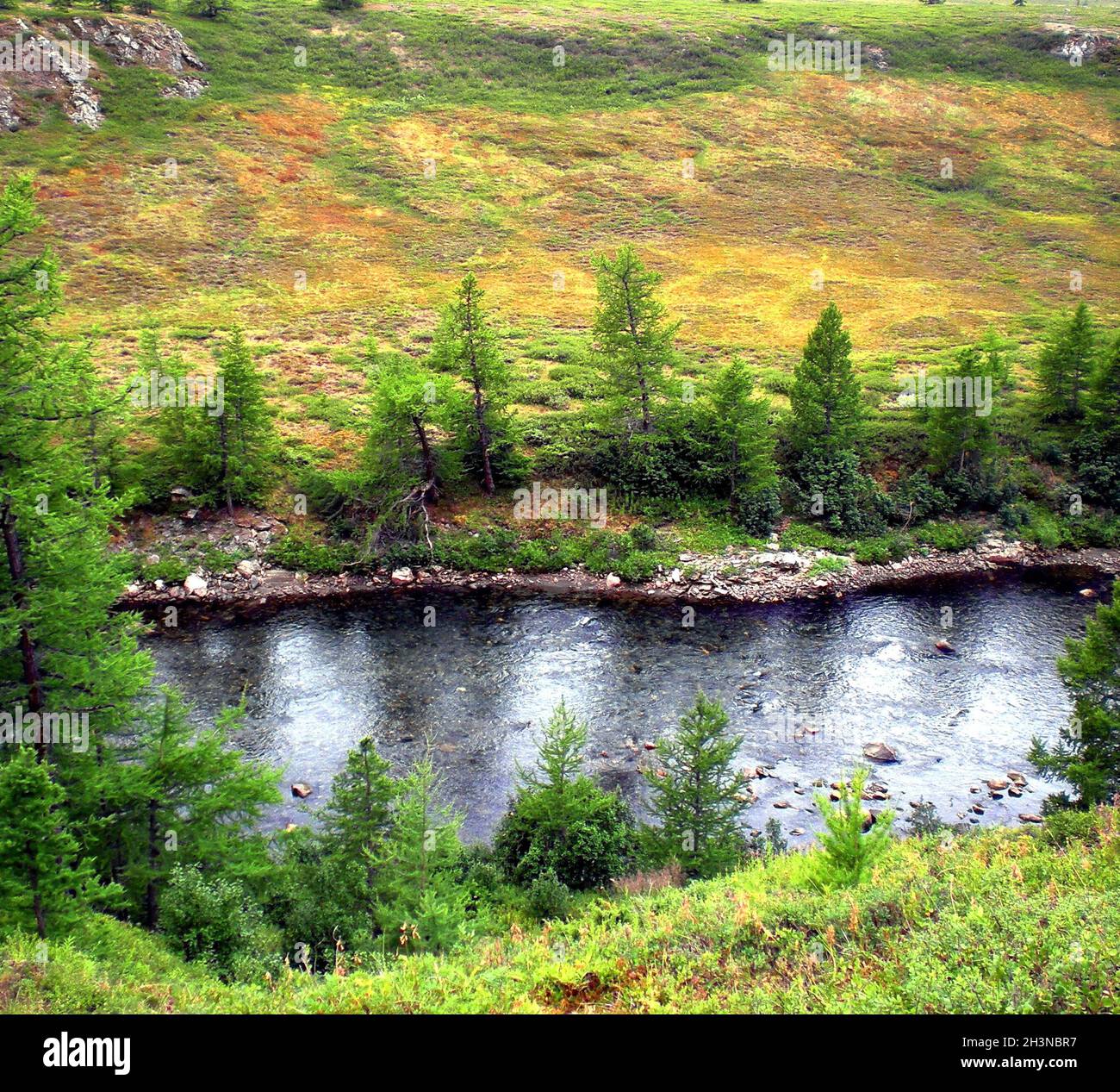 Ural taiga hi-res stock photography and images - Alamy