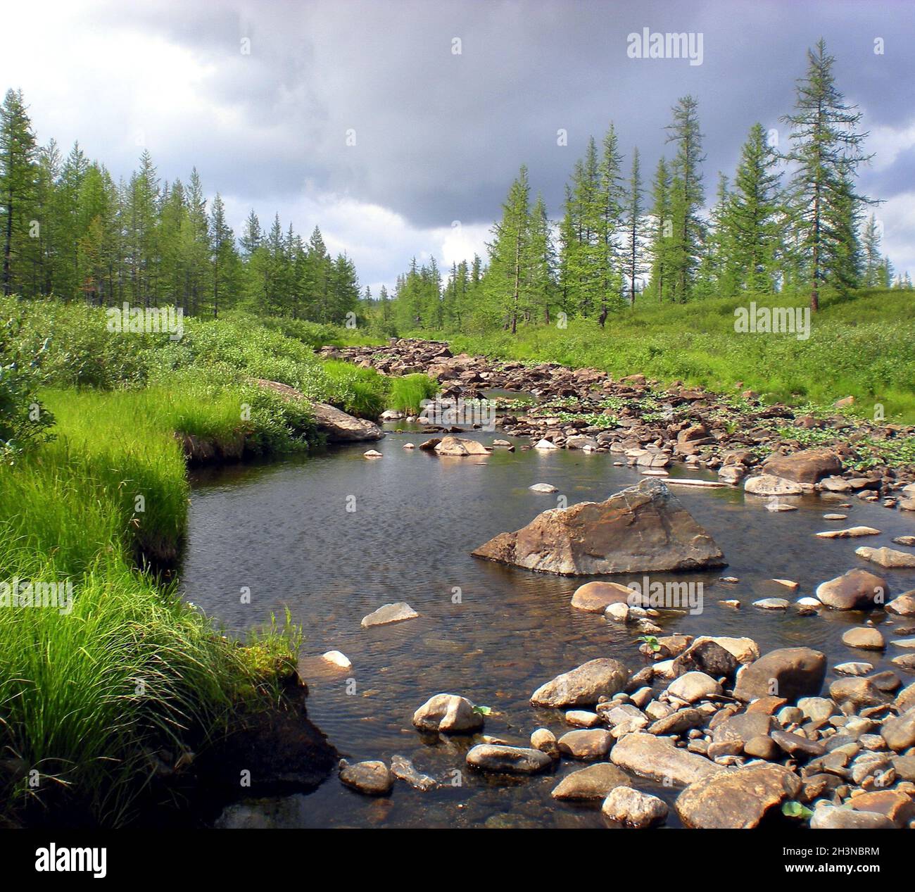 Russia taiga hi-res stock photography and images - Alamy