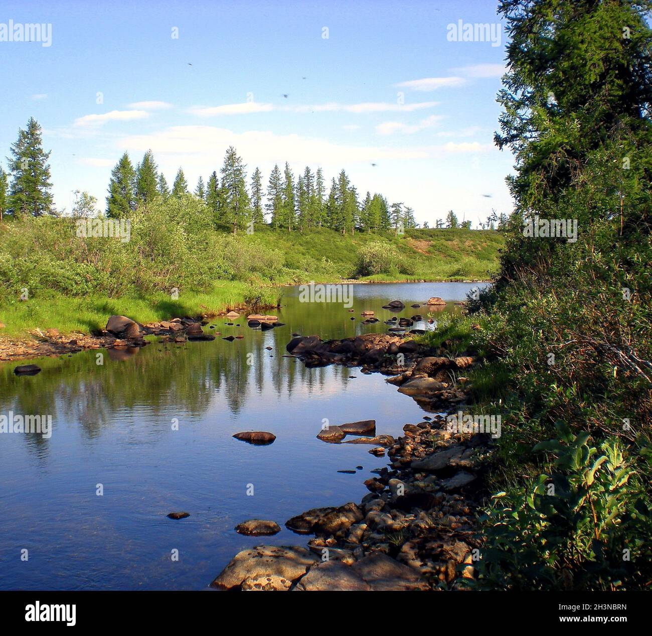 Ural taiga hi-res stock photography and images - Alamy