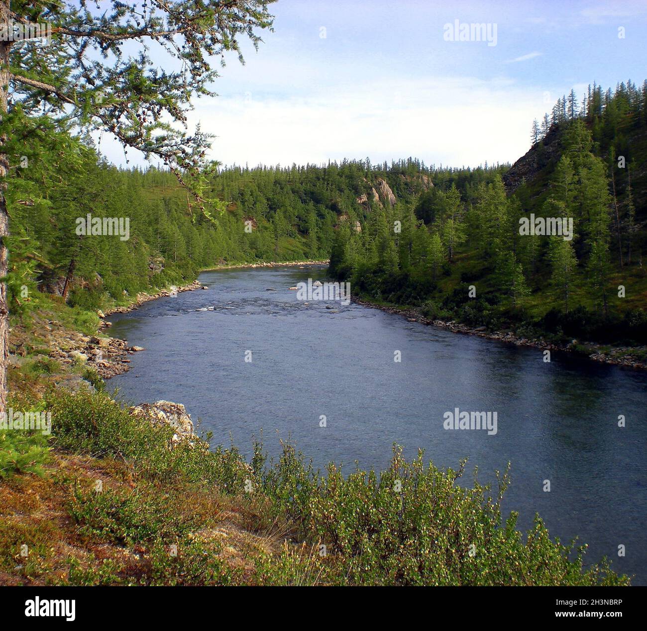 Camp taiga hi-res stock photography and images - Alamy