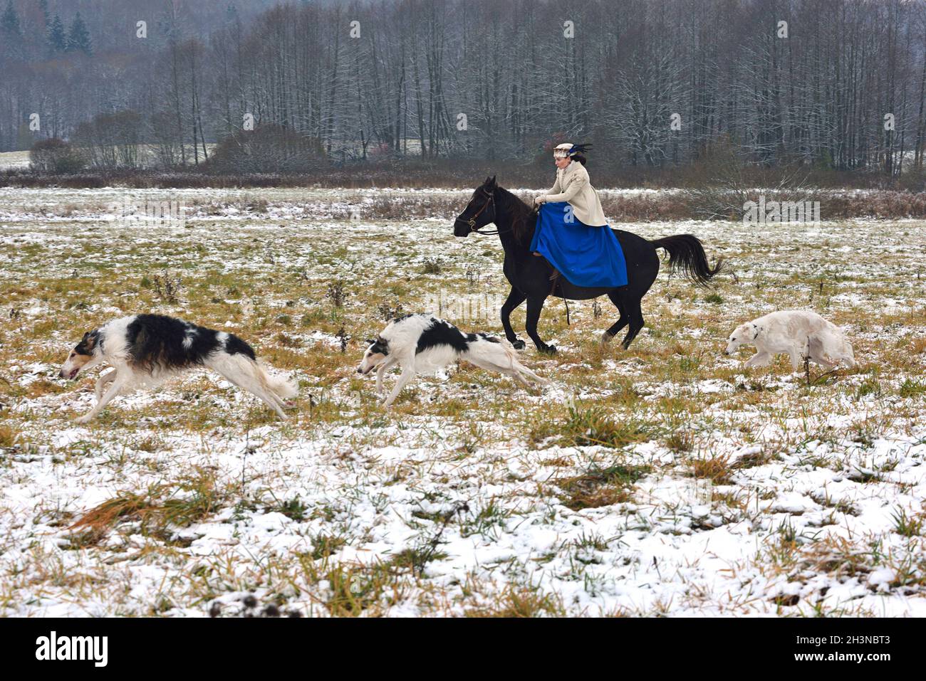 Minsk region, Belarus - November 5: Historical reconstruction of the ...