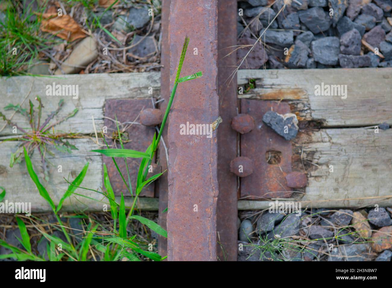 Woman abandoned road hi-res stock photography and images - Alamy