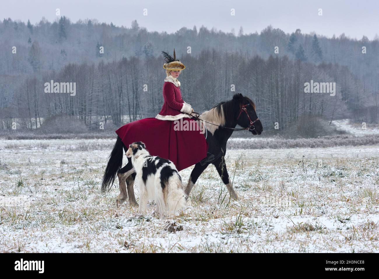Minsk region, Belarus - November 5: Historical reconstruction of the ...