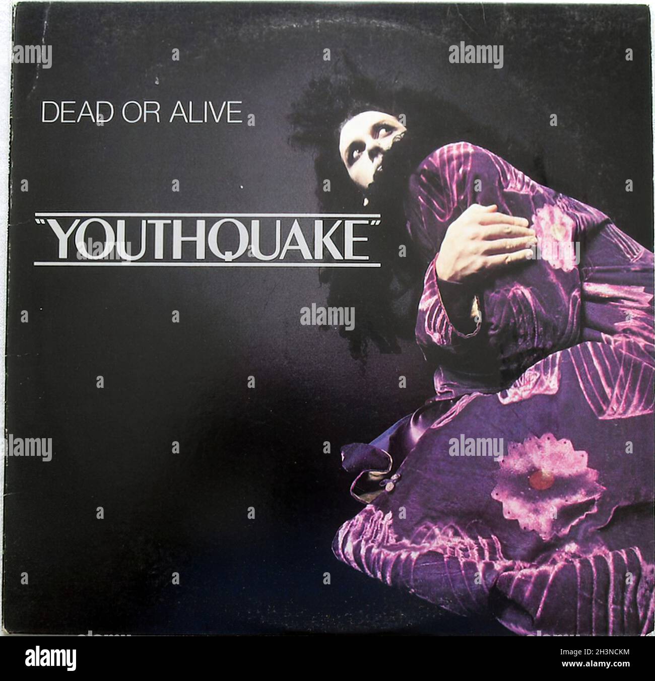 1980s Dead or Alive Record Album Sleeve Vinyl Lp Cover 1985 Youthquake ...