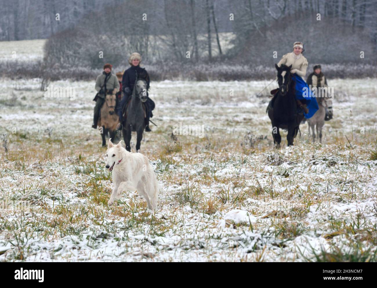 Minsk region, Belarus - November 5: Historical reconstruction of the ...