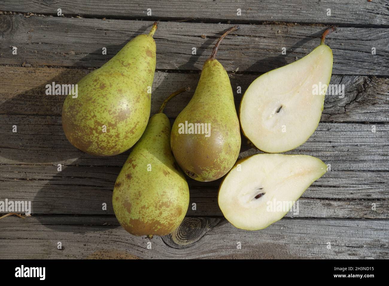 Pyrus communis Conference, Pear Stock Photo - Alamy