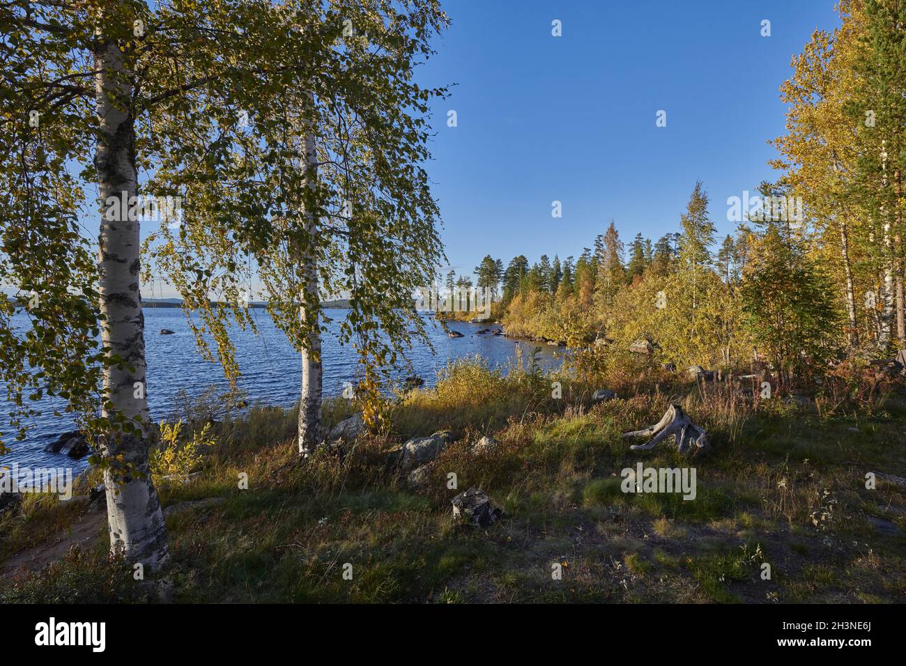Nationalpark hamra hi-res stock photography and images - Alamy