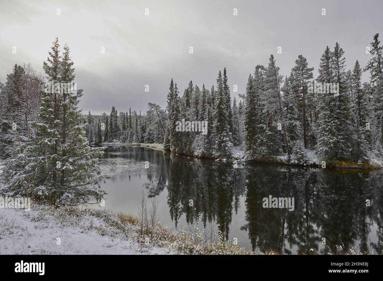 Nationalpark hamra hi-res stock photography and images - Alamy