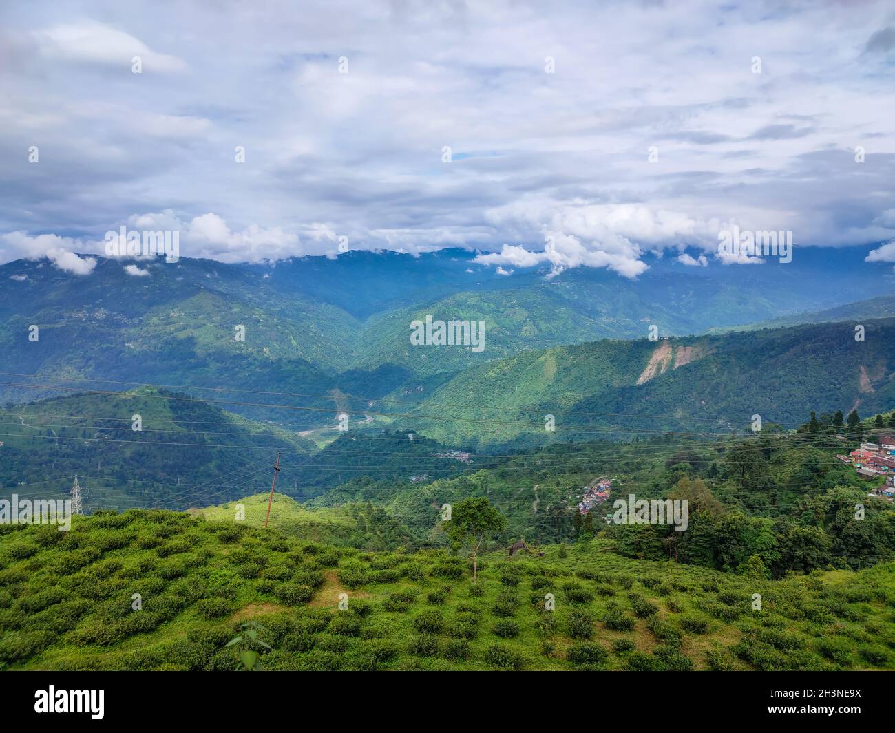mountain tea garden view with bright blue sky at morning from flat ...
