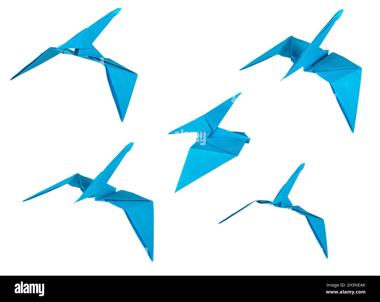 Colored blue origami paper pterodactyls over white background Stock ...
