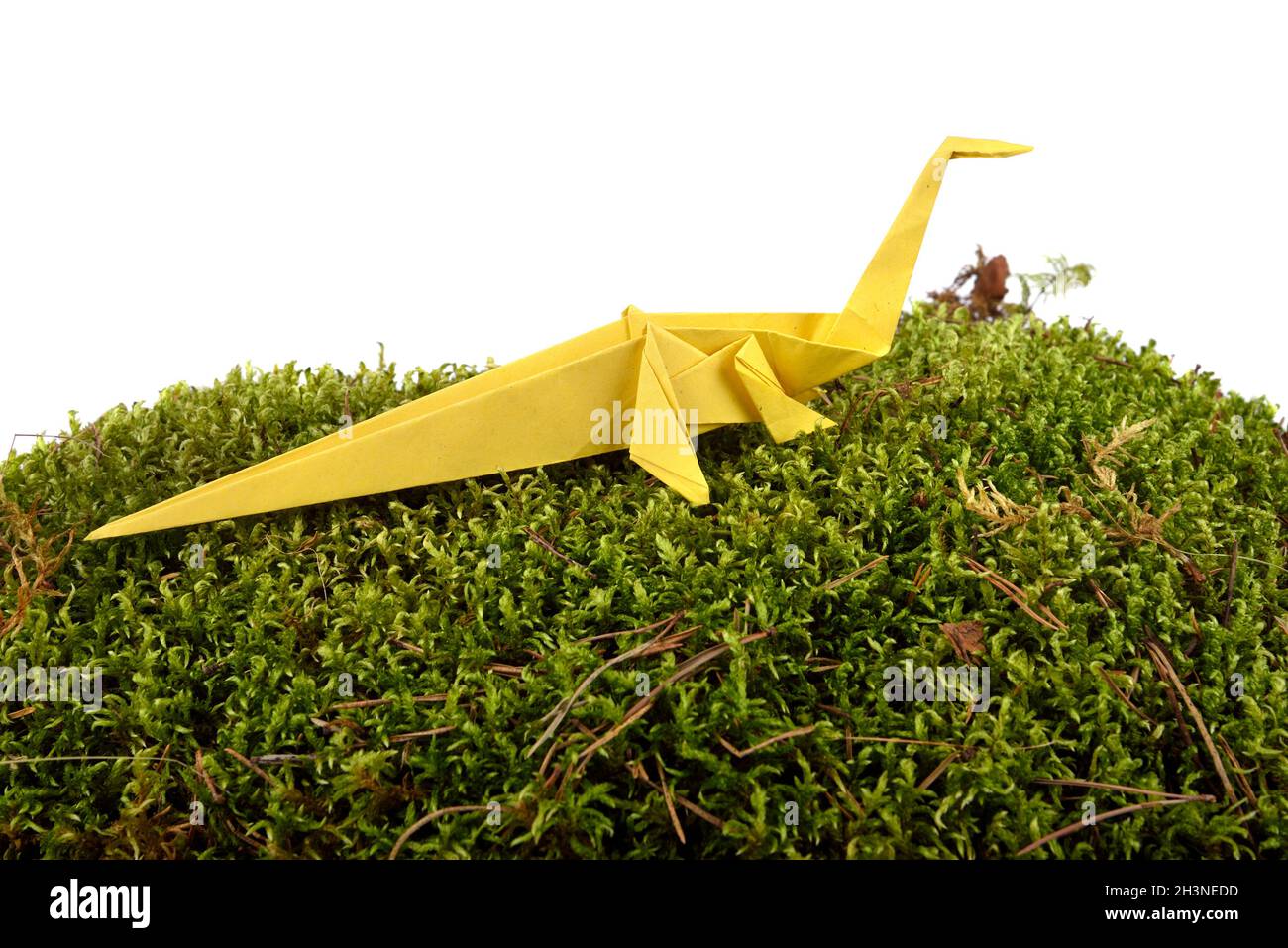 Yellow origami paper diplodocus on green moss isolated over white ...
