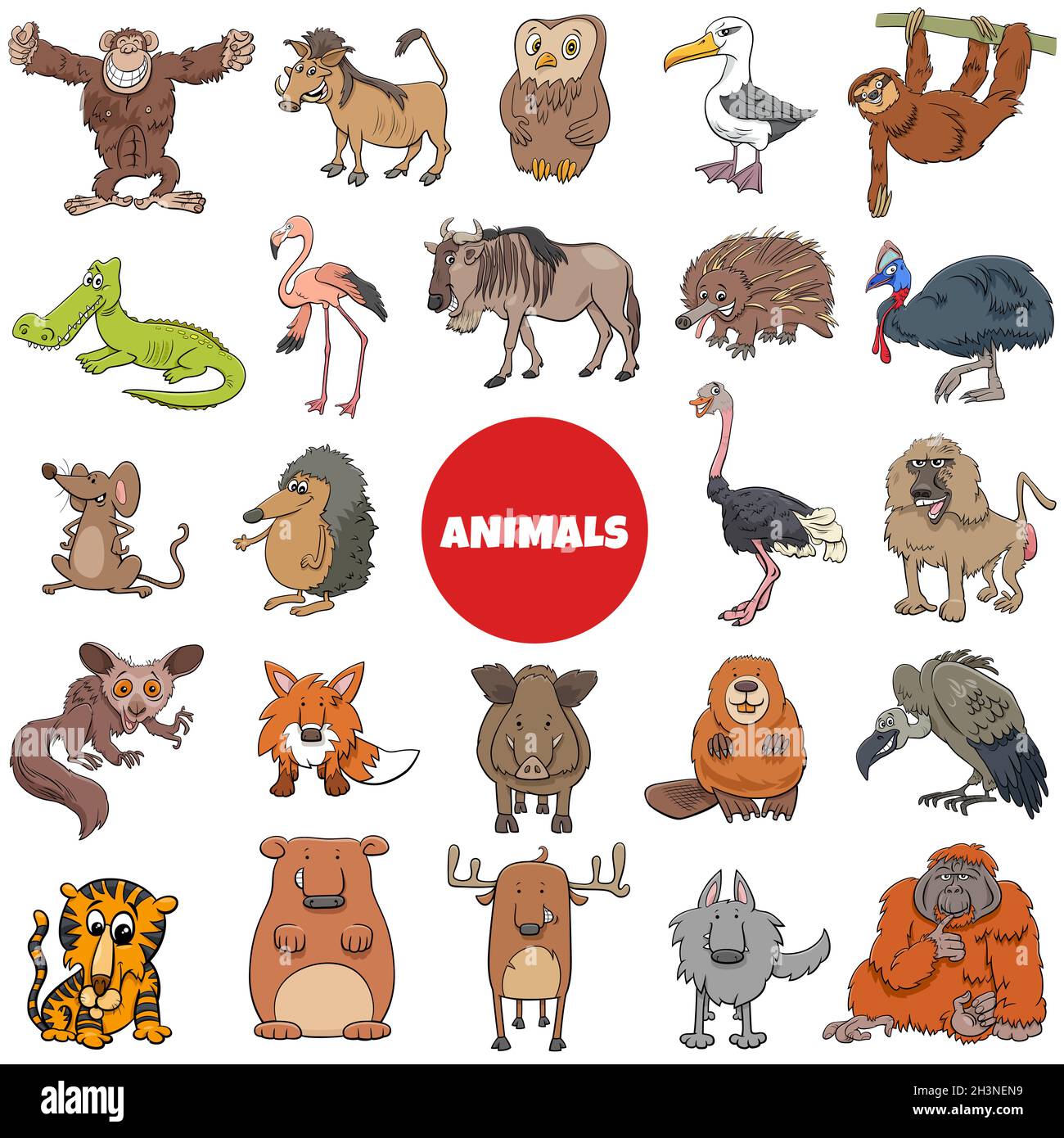 Wildebeest wild animal Cut Out Stock Images & Pictures - Alamy