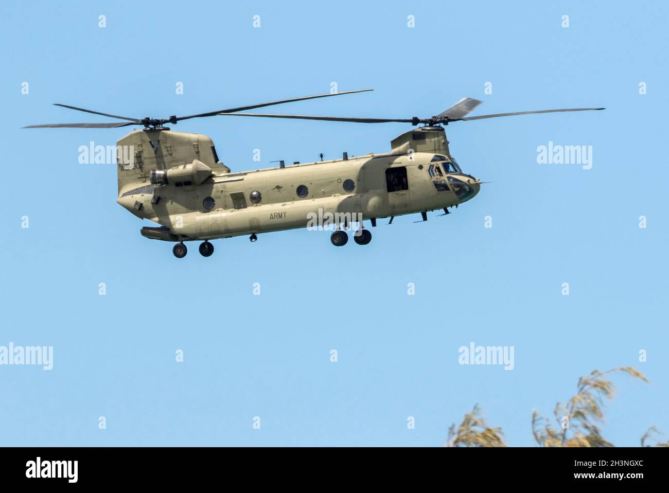 Large Australian army helicopter, Boeing Chinook, against blue sky ...
