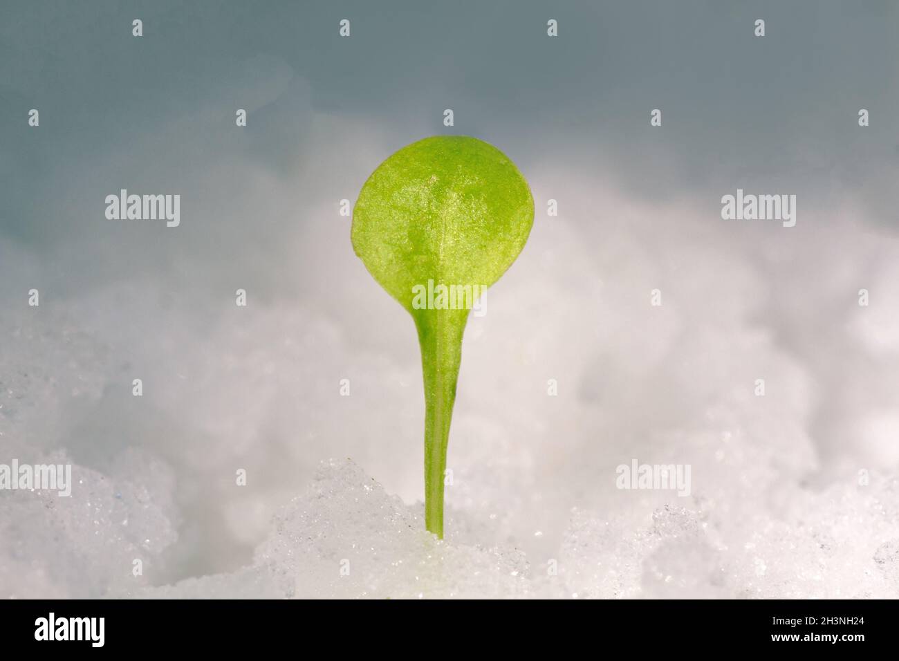 Paradoxical photo hi-res stock photography and images - Alamy