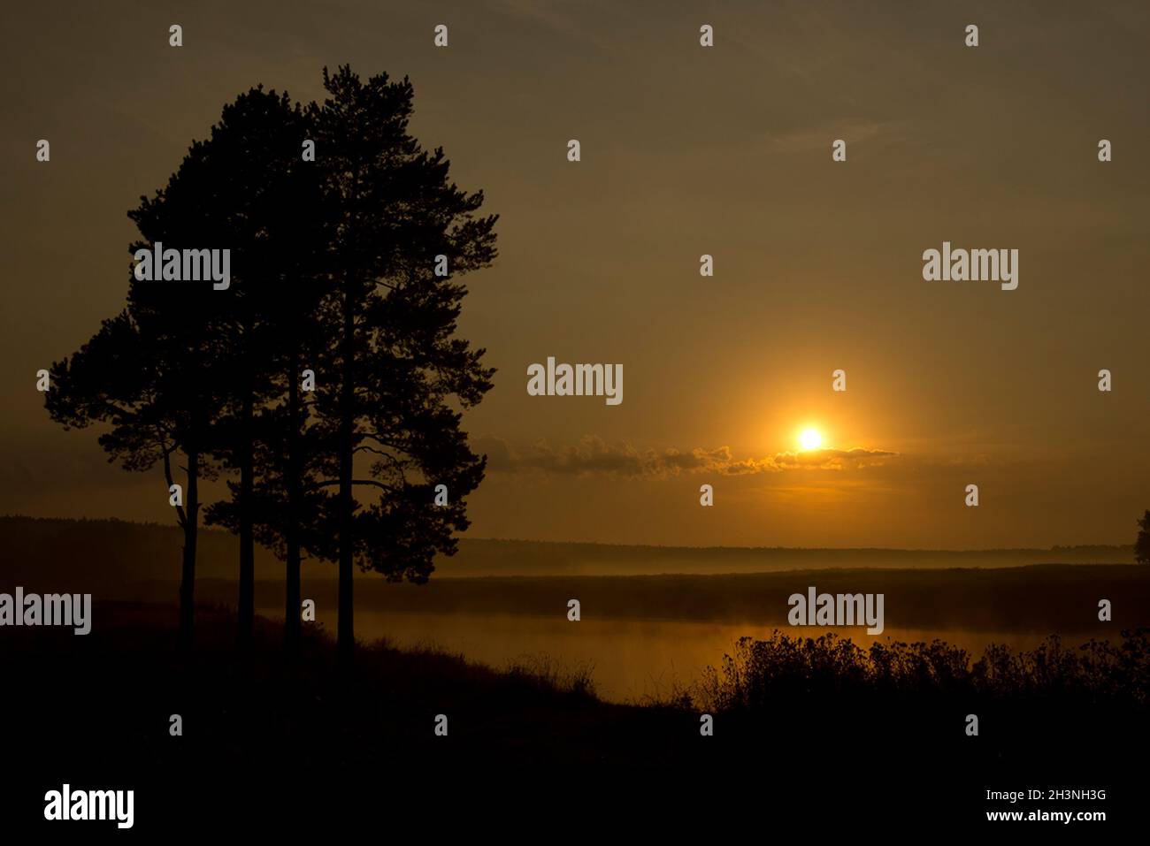 Lake at sunset, coastal grass and trees. light of the sunset above the ...