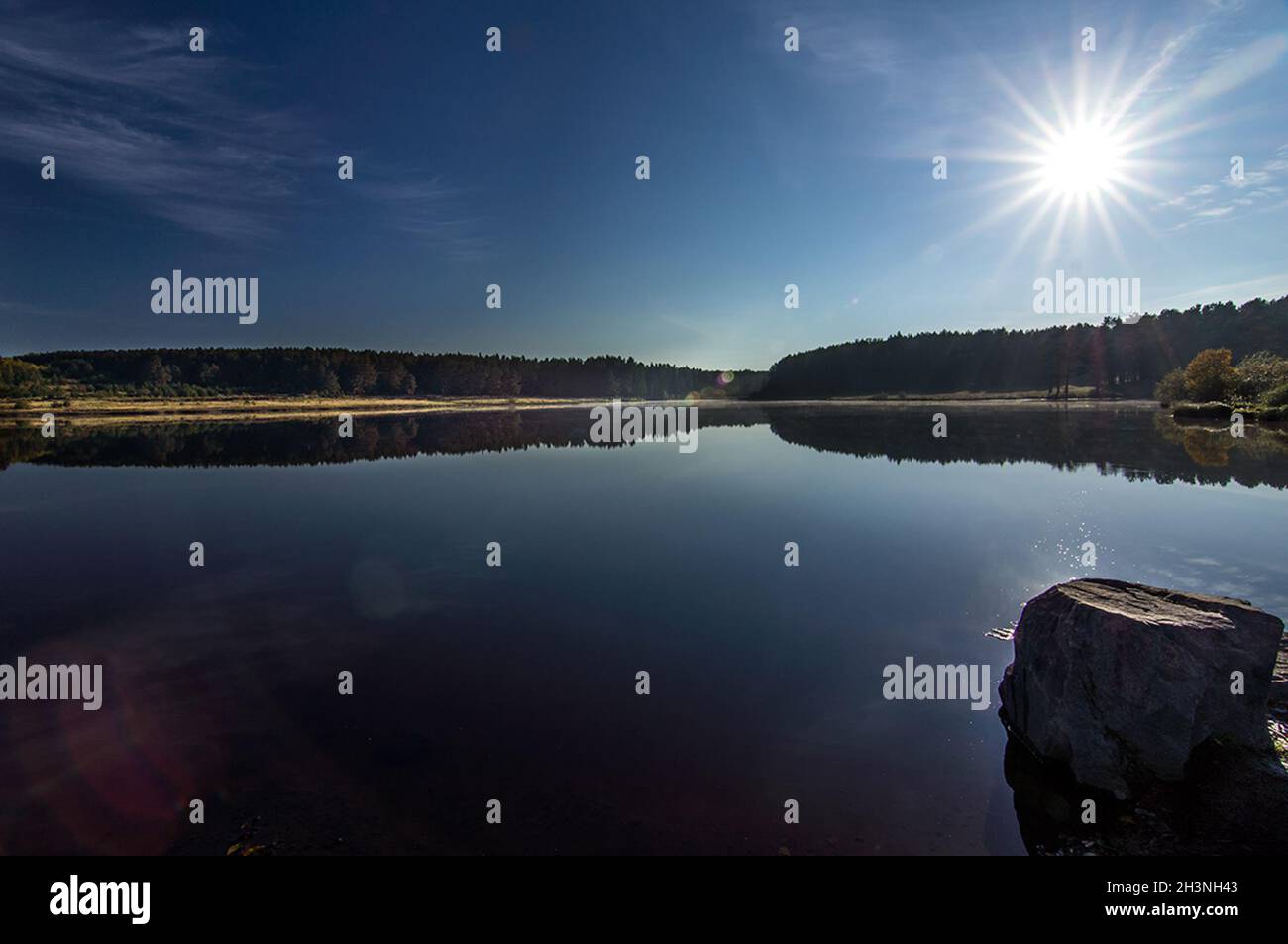 Beautiful sky over forest hi-res stock photography and images - Alamy