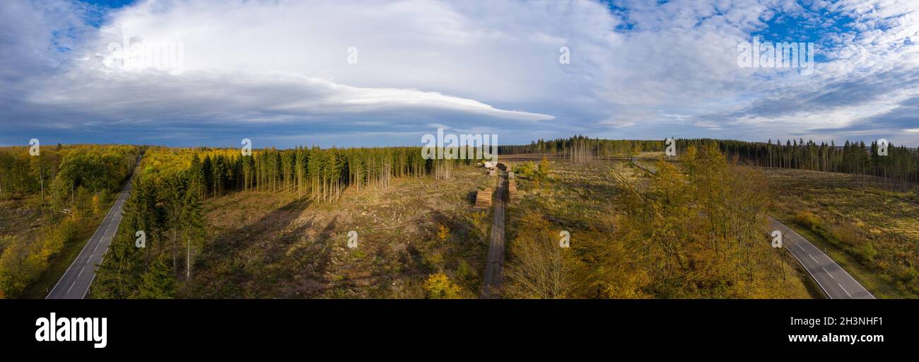Schwindende wald hi-res stock photography and images - Alamy