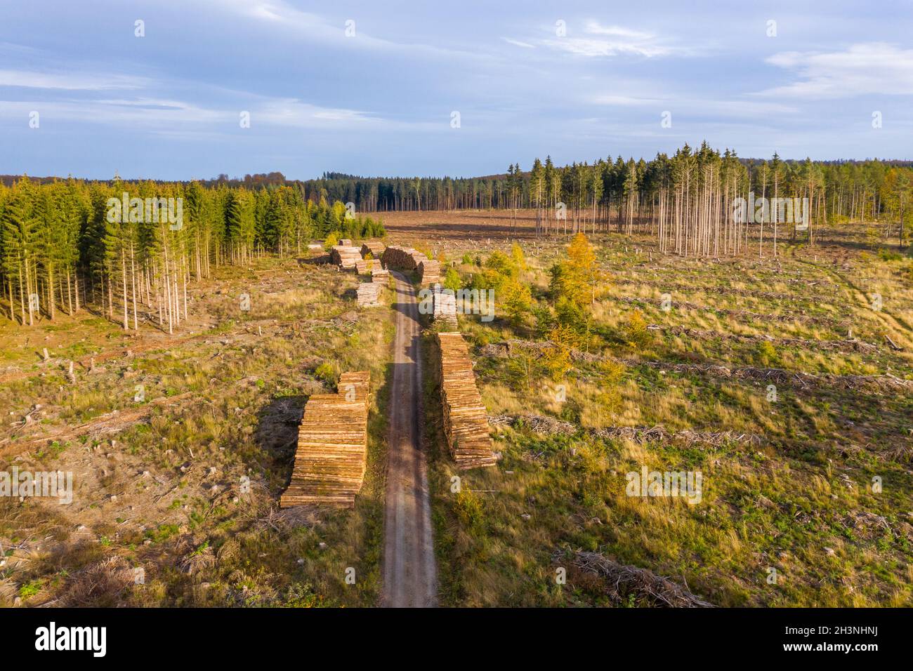 Schwindende wald hi-res stock photography and images - Alamy