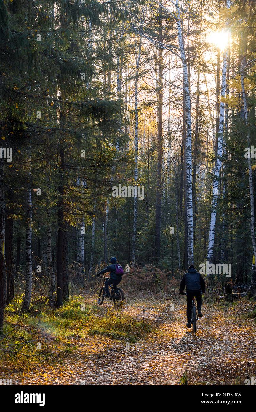 Cycling in autumn forest. Tourist bike Stock Photo - Alamy