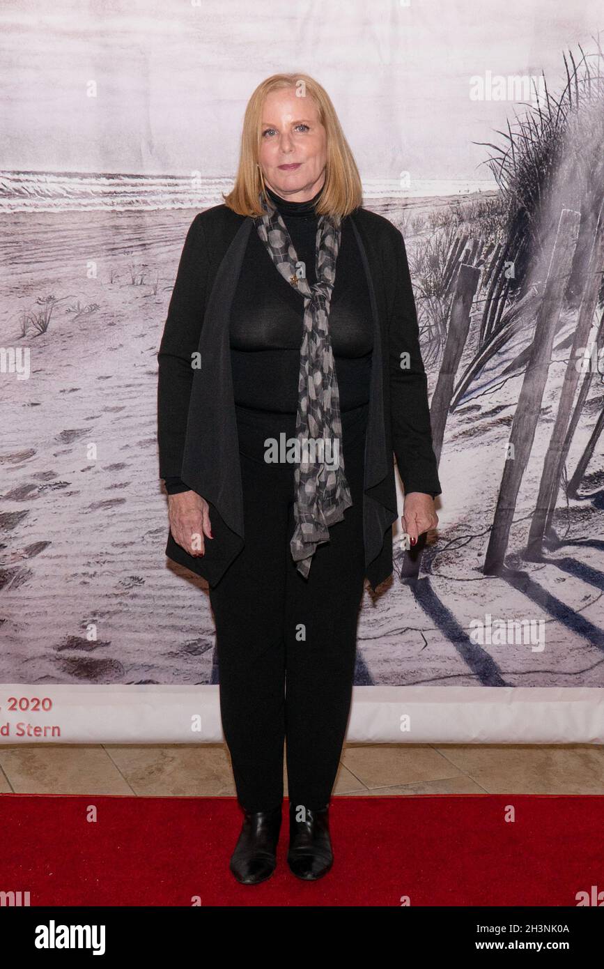 Honoree Nancy Hollander attends Dan's Papers Power Women of the East ...