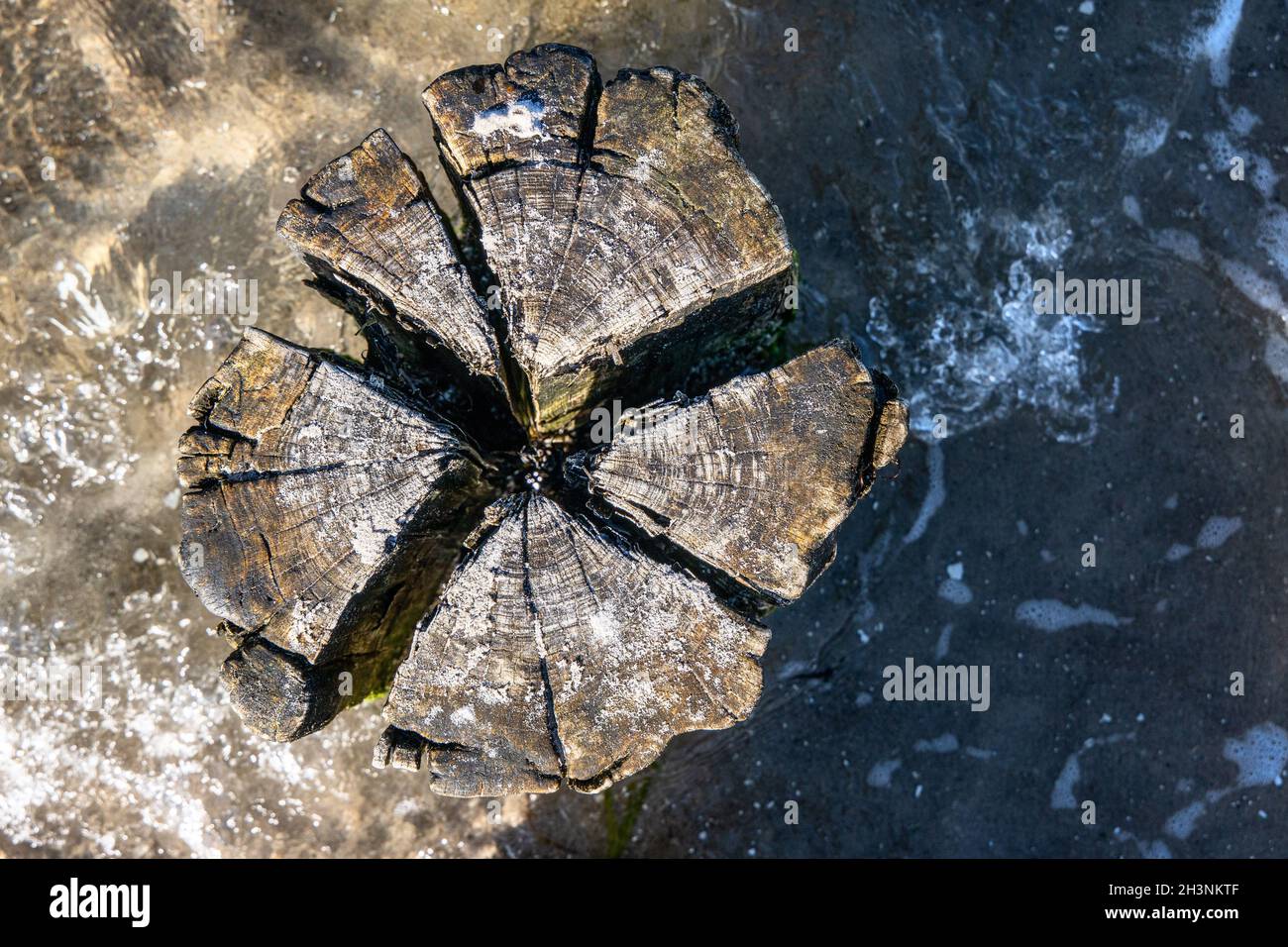 Old groynes from above baltic sea beach Stock Photo - Alamy