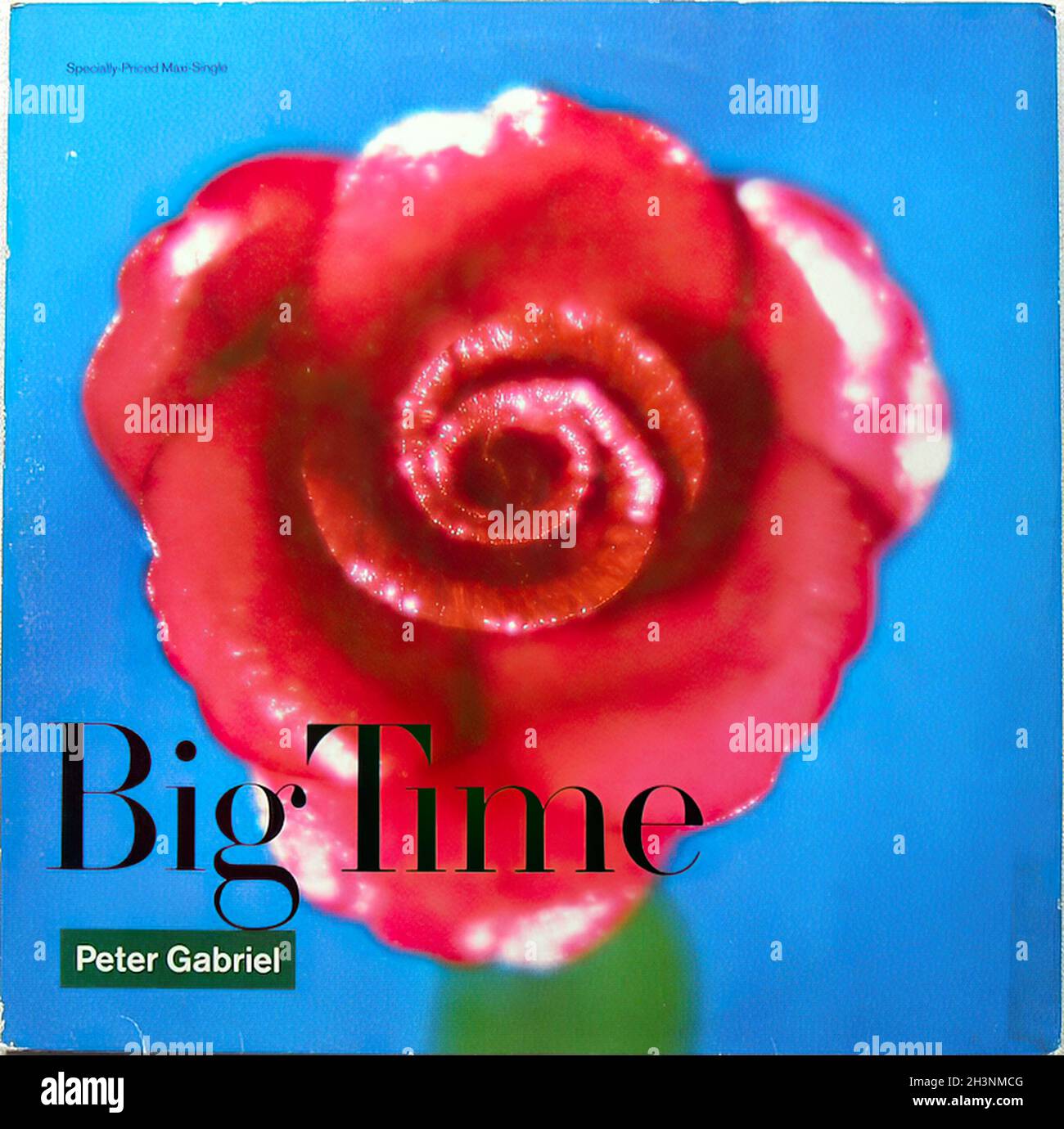 Peter Gabriel Flower